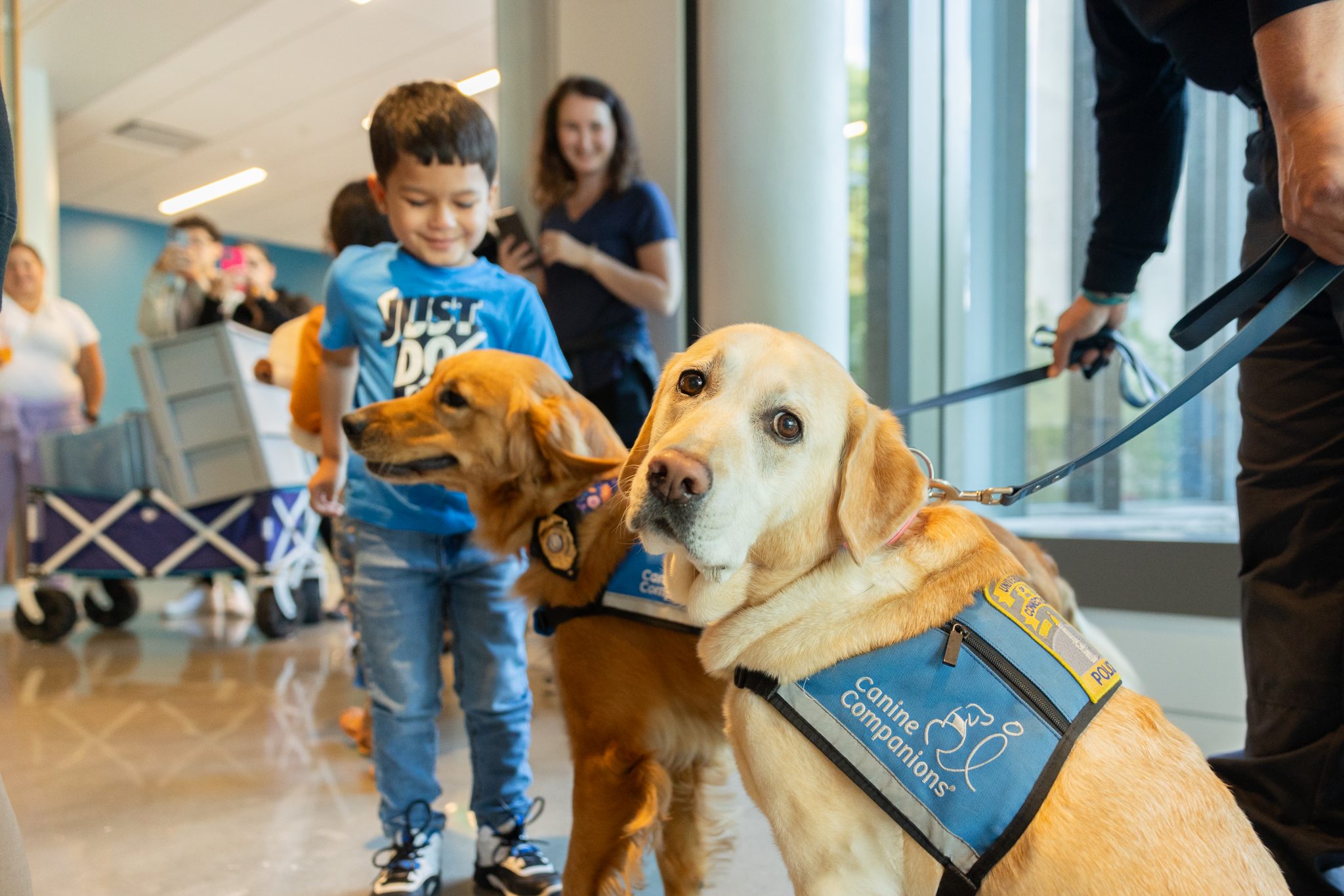 Welcome back, Huskies! - UConn Today