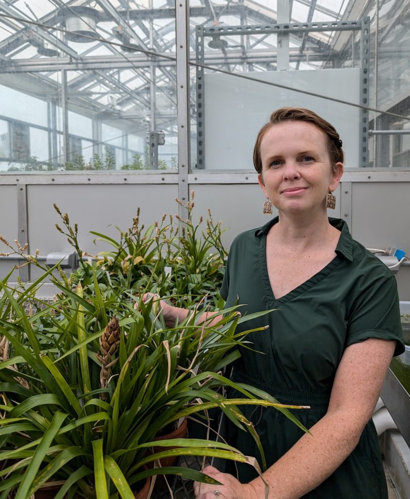 Ecologist Karolina Heyduk Awarded $578,000 From National Science ...