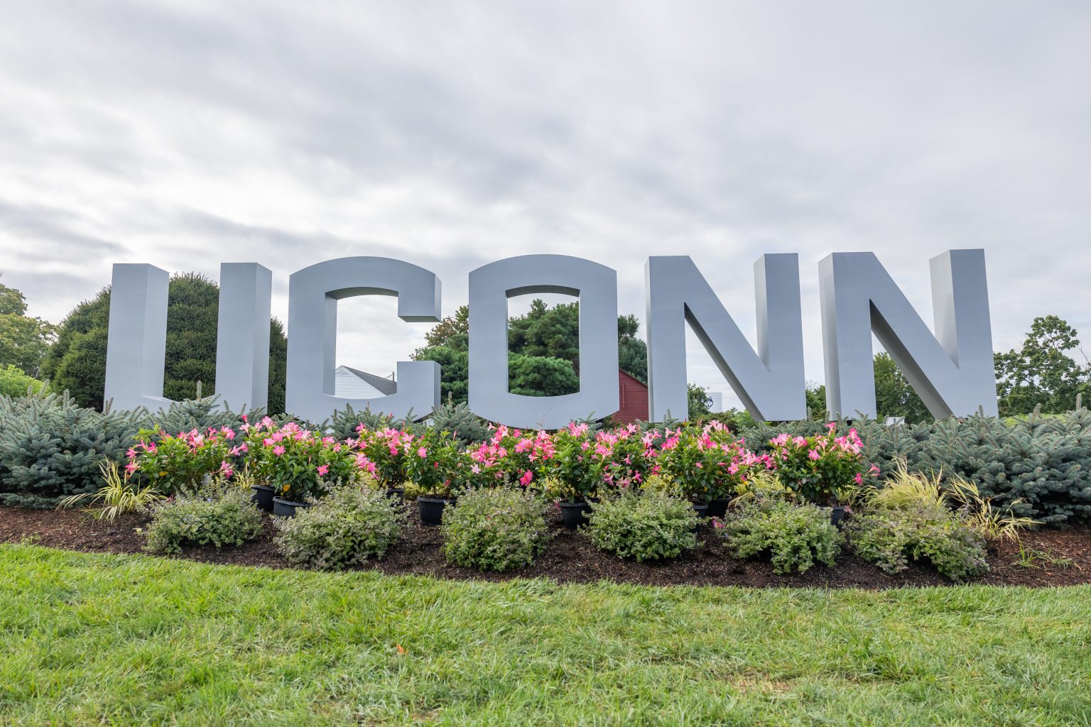 UConn Adopts New Budget with Strategic Adjustments to Address Funding ...