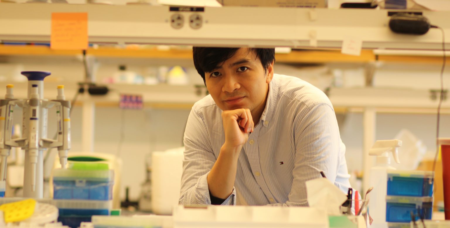 Nguyen a Biomedical Engineering Star - UConn Today