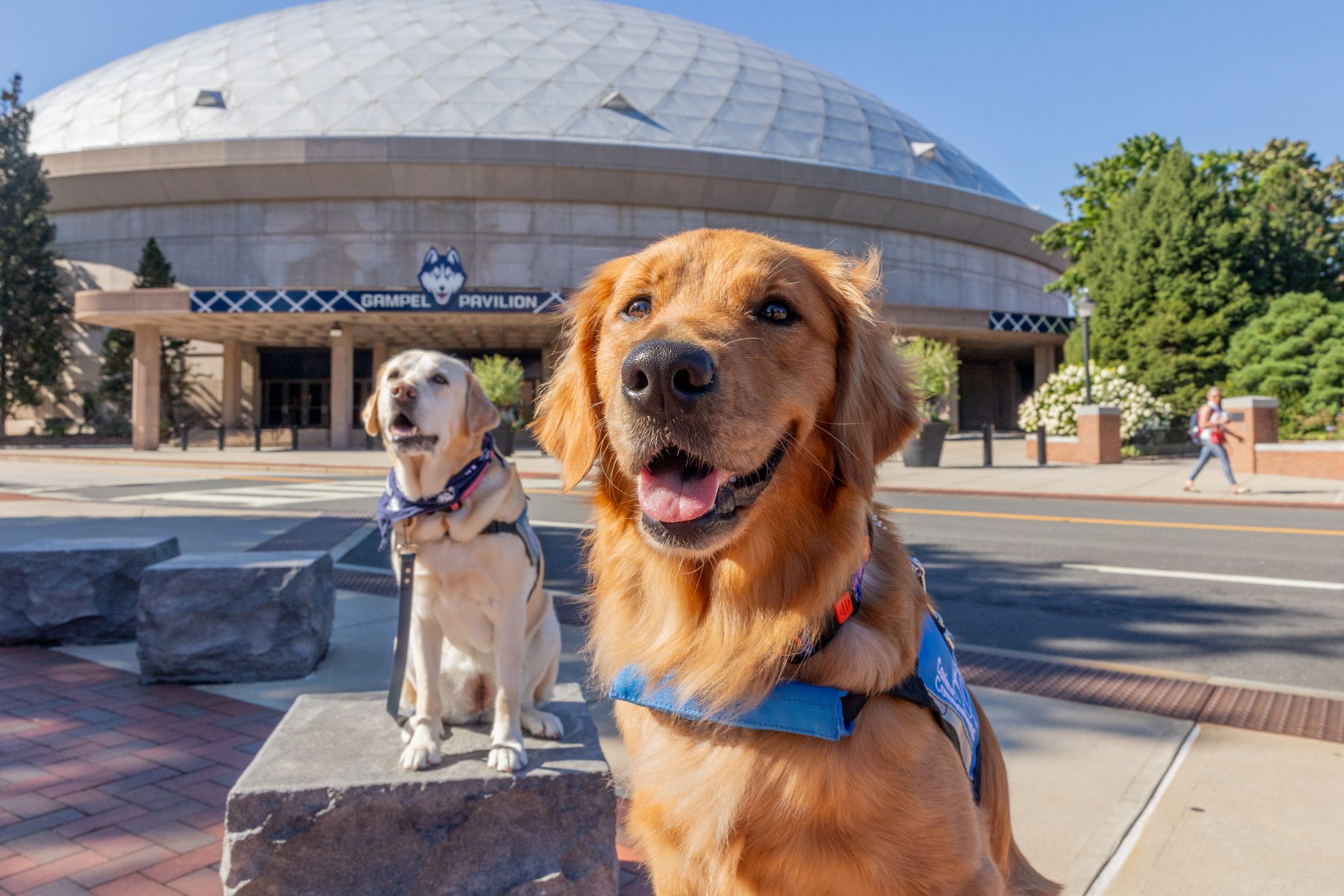 A Well-Earned Retirement for Officer Tildy - UConn Today
