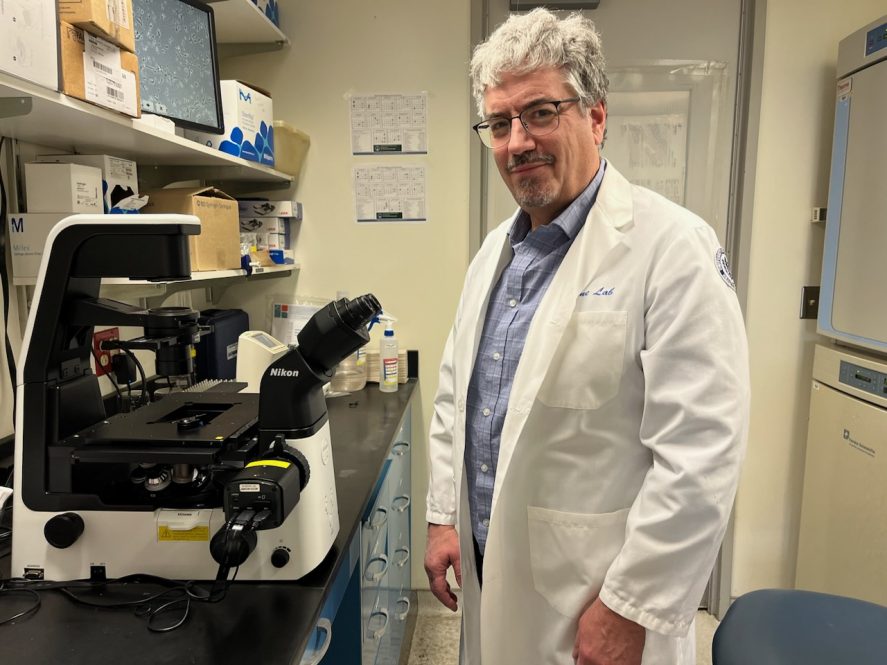Eagles Autism Foundation Awards Research Funding to UConn School of ...
