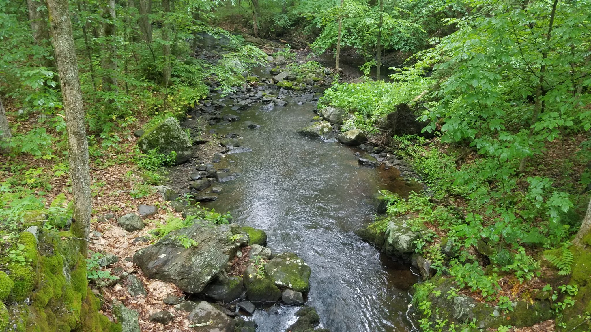 Seeping Groundwater Can Be a Hidden Source of Greenhouse Gases - UConn ...