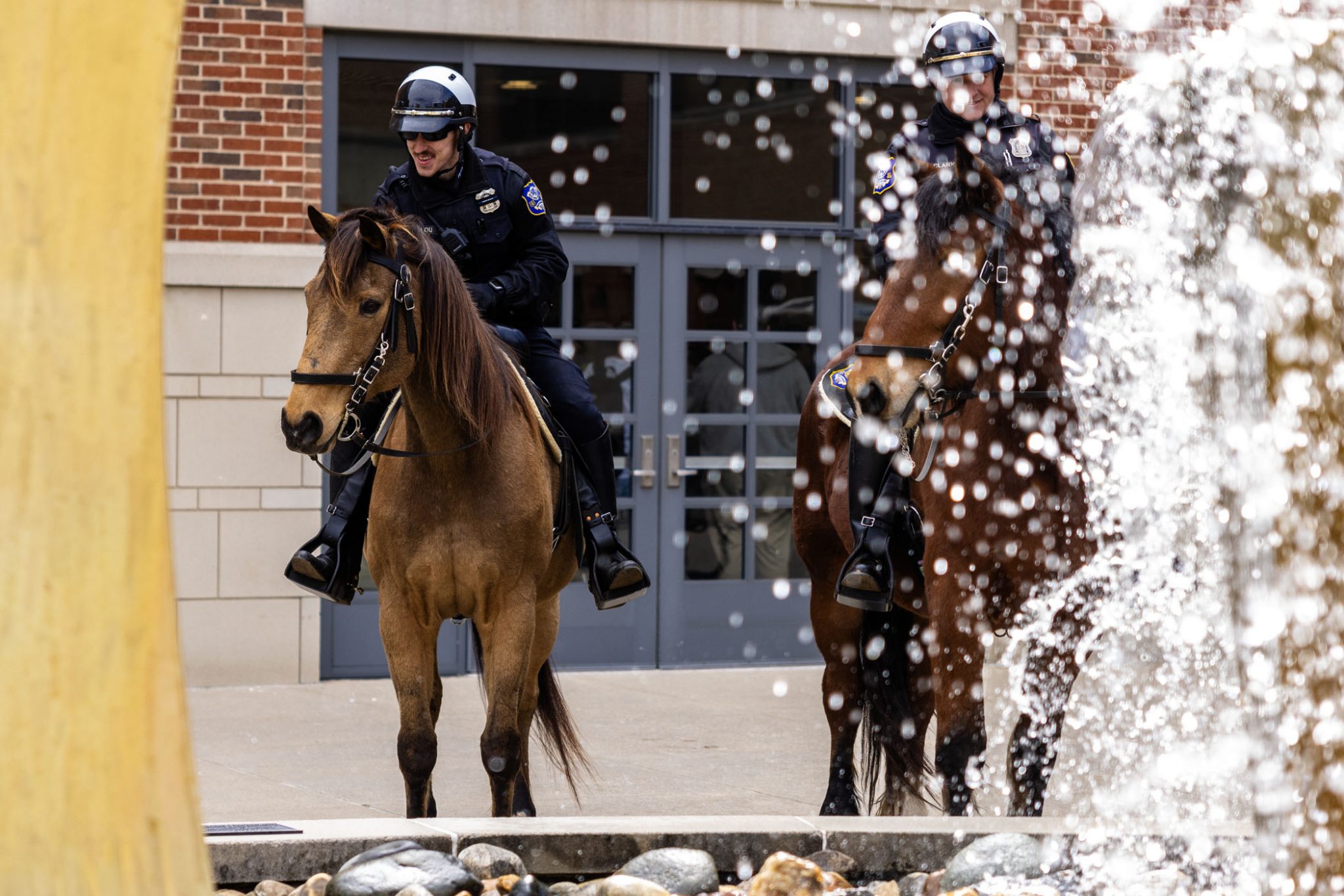 WISH to Ignite: WISHfest25 Sparks Curiosity, Community, and Courage in ...