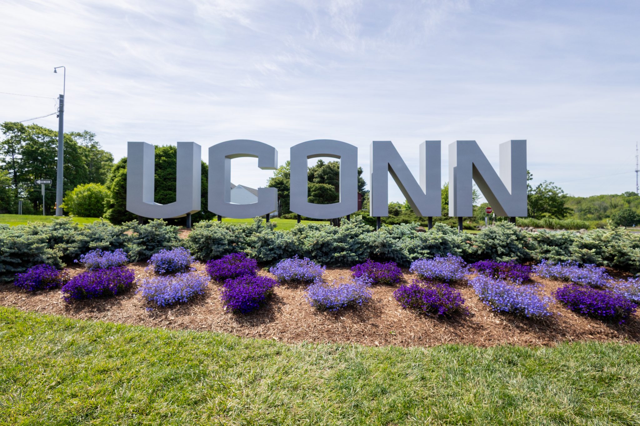 Four Faculty Members Named Fulbright Scholars for 2025-26 - UConn Today