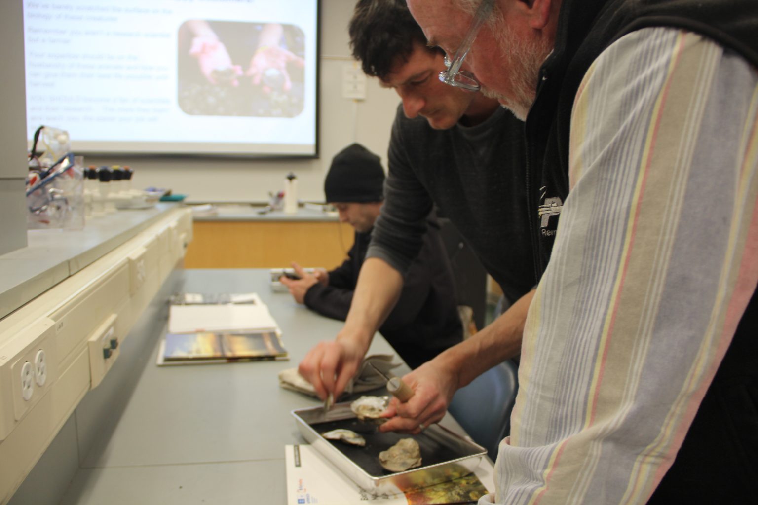 Building Connecticut's Shellfish Workforce and Industry Resilience ...