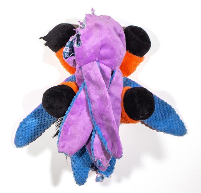 Used Dog Toys a Favorite Medium for Art Professor - UConn Today