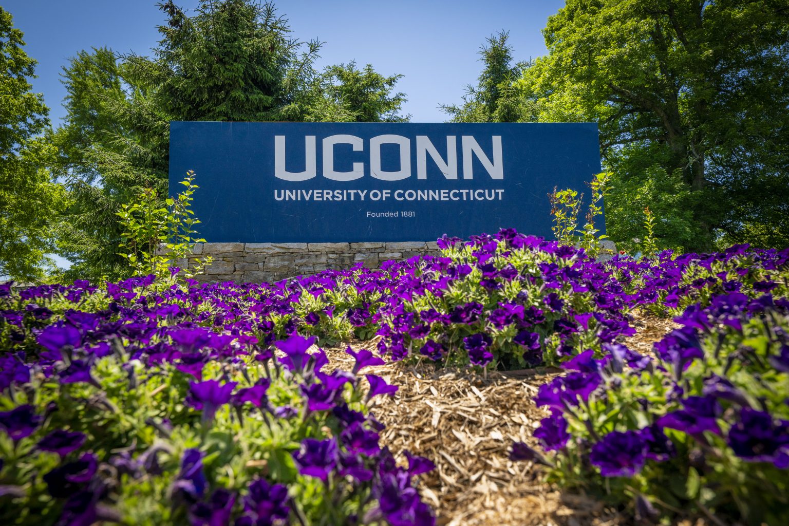 UConn Adopts FY27 Budget That Keeps Tuition Flat, Continues Expense ...